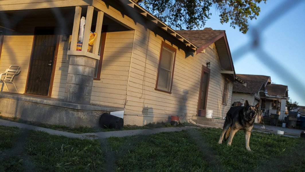Understanding canine separation anxiety and sadness