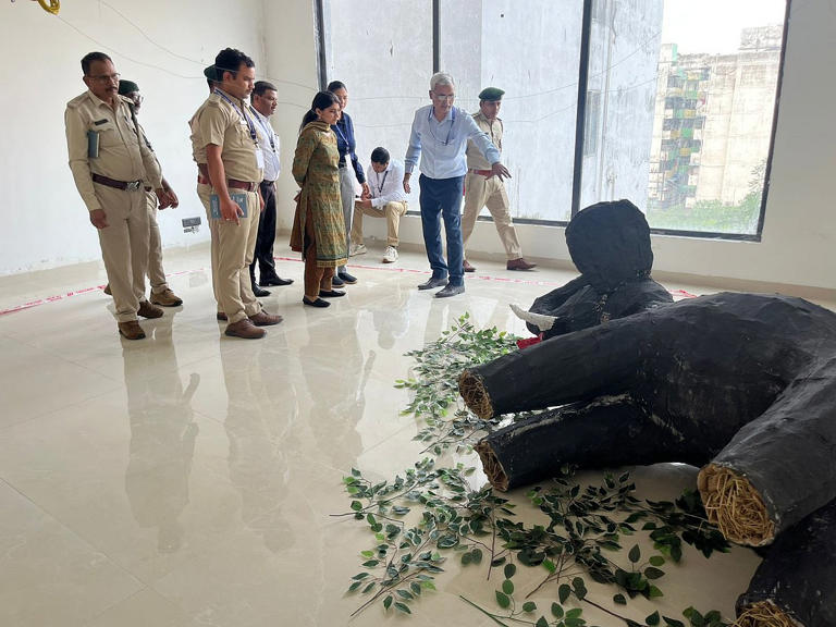 Elephant death sites are crime spots in Chhattisgarh