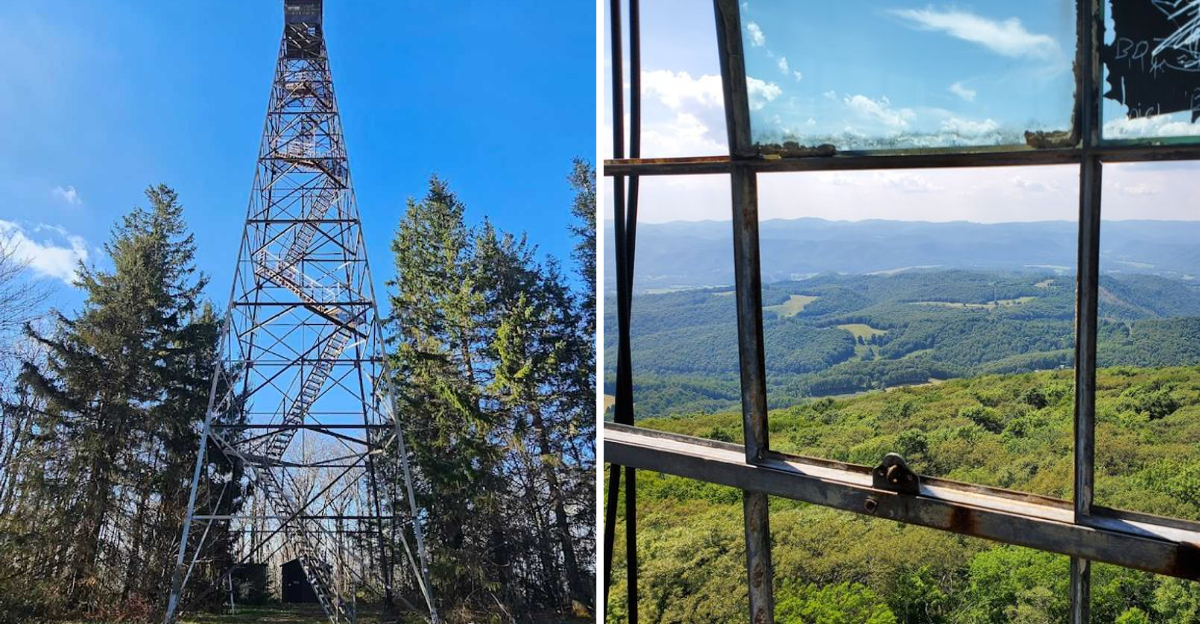 Climb 133 steps to the top of this West Virginia fire tower for views ...