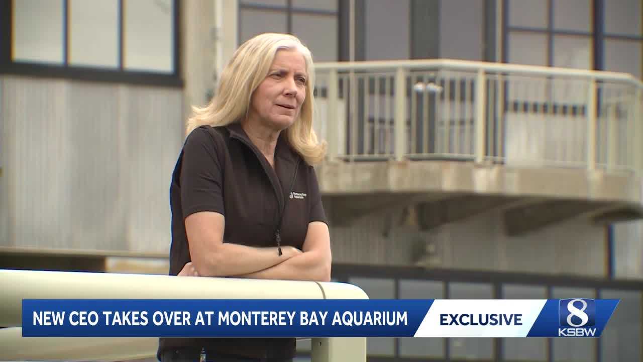 Monterey Bay Aquarium’s new CEO brings global conservation experience