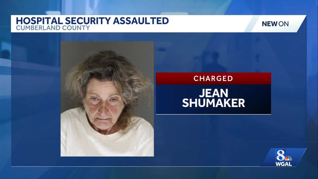 Halifax woman accused of aggravated assault, harassment after allegedly ...