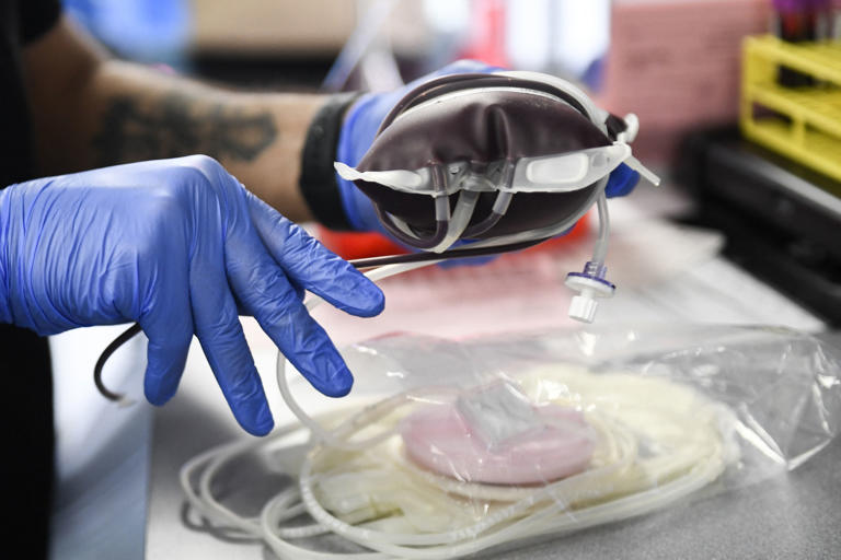 Red Cross seeks blood donors as summer supply declines