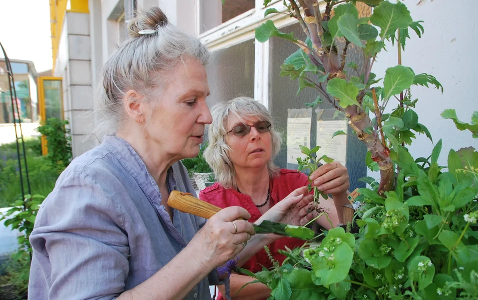Pruning secrets every home gardener should know
