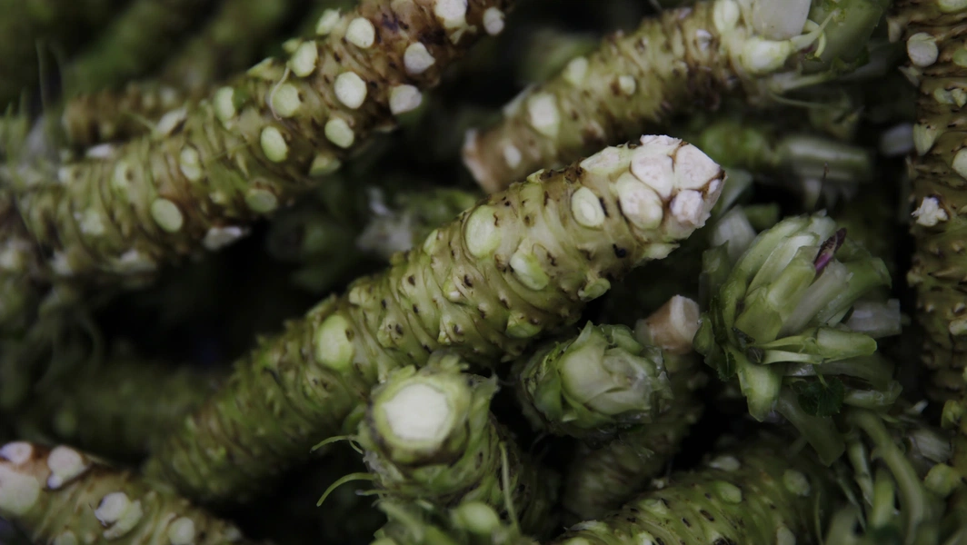 The truth about real wasabi and why it matters