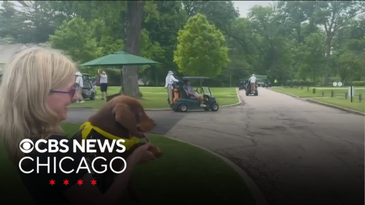 PAWS Chicago hosts annual Peter Fasseas Golf Open