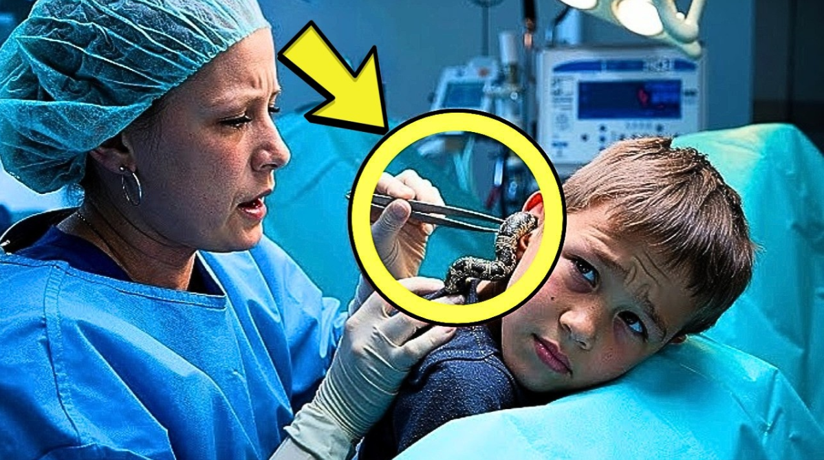 Boy complains of severe ear pain, doctor is horrified by what he finds