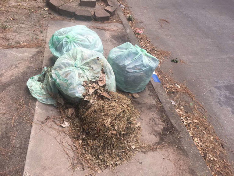 Houstonians have given up on yard waste pick up, data shows. Will Mayor ...