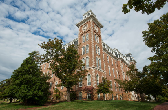 Minority enrollment soars at Arkansas universities after affirmative ...