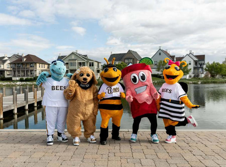 Meet 'Bumble and Friends!': Salt Lake Bees unveil 4 new mascots