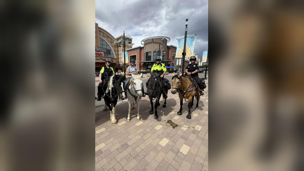 Colorado mounted patrol to provide security for FIFA World Cup