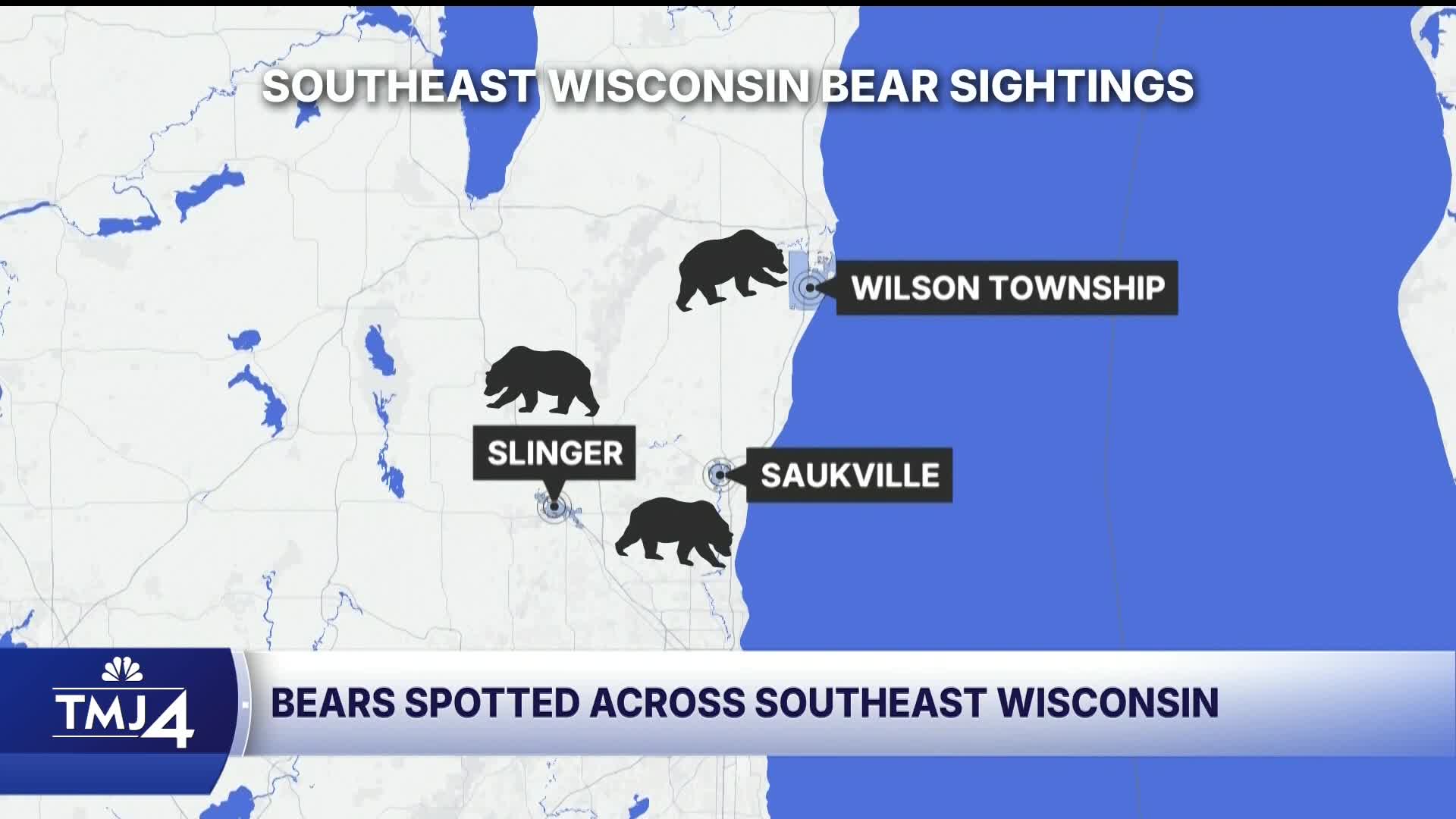 Saukville couple's evening walk turns into black bear sighting amid a ...