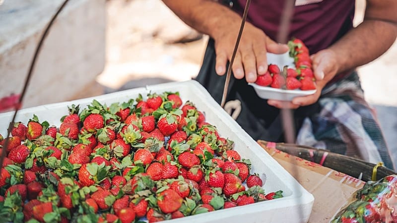 Berry good for you: Why flavanols are key to a heart-healthy diet