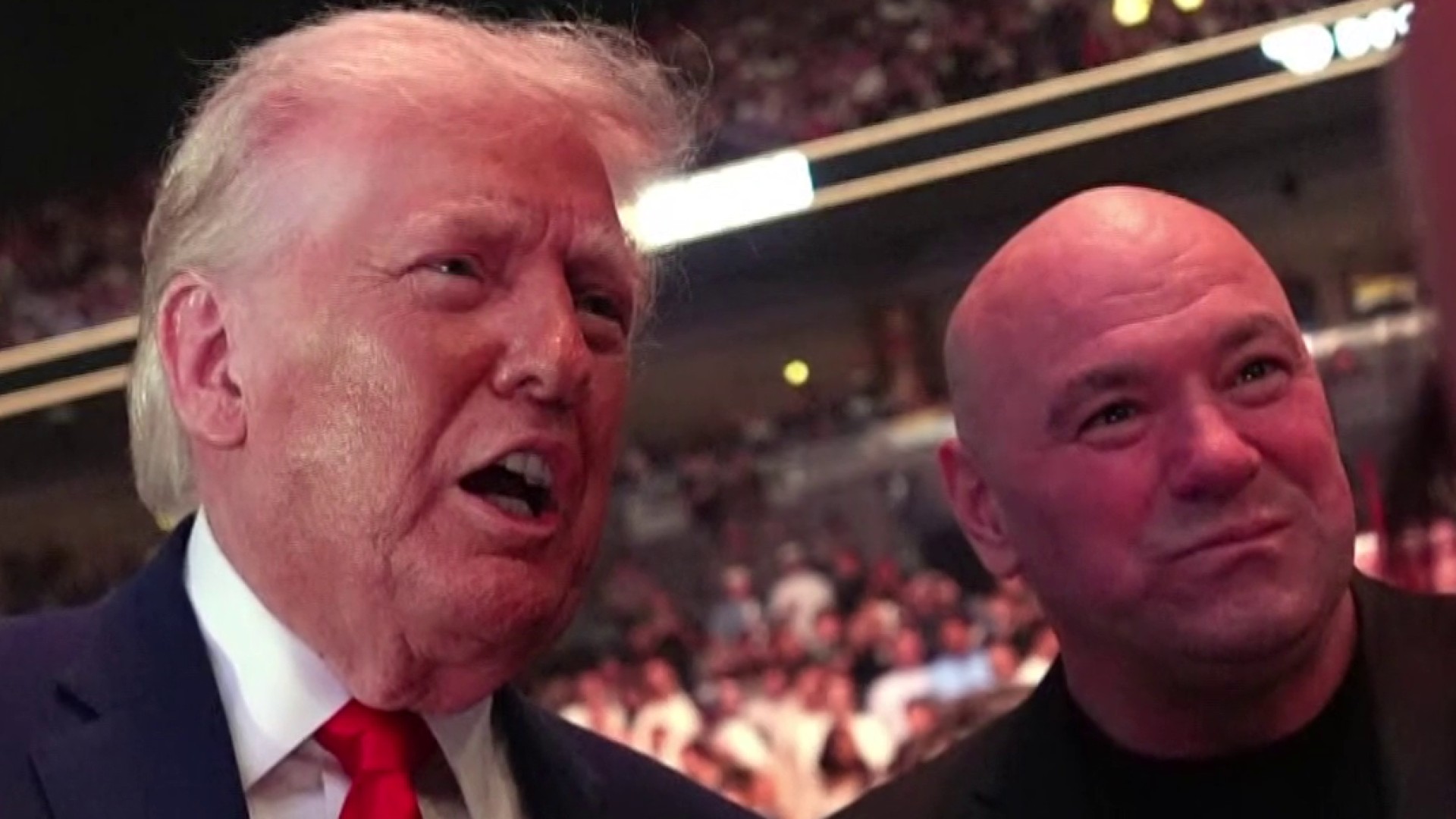 'Deeply corrupt': Lawsuit takes aim at Trump, attempts to stop UFC ...