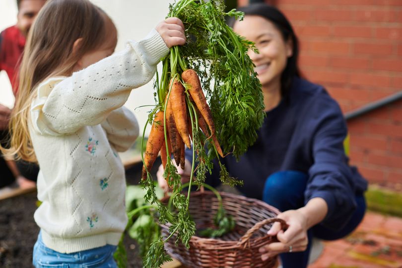 Keep slugs away from vegetables by adding one kitchen scrap to soil