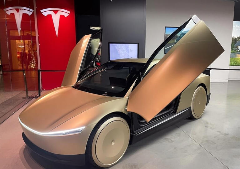 Cathie Wood asks Elon Musk how Tesla handles 'parking and traffic ...