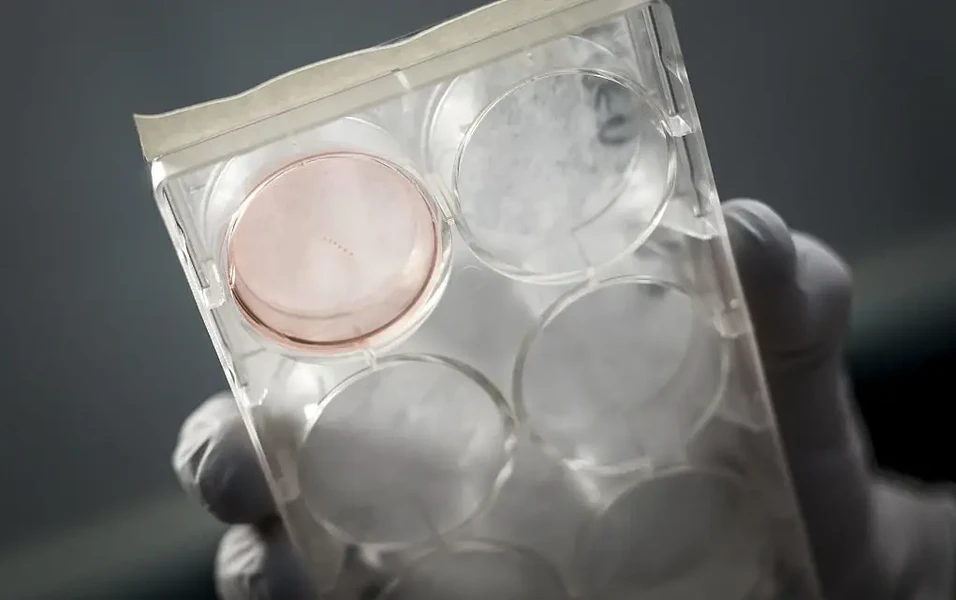 Scientists revise human cell count to 30–37 trillion