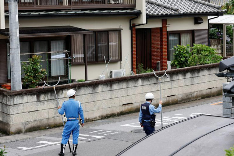 Wild black bear in Japan captured after multi-day hunt grips nation's ...