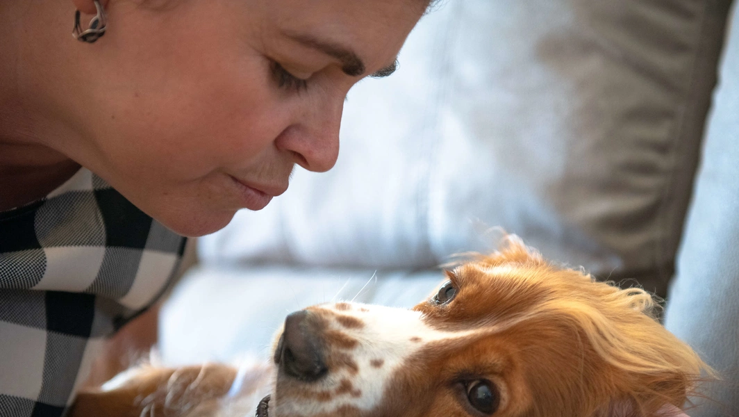 Three viral pet clips show charm, comedy and connection