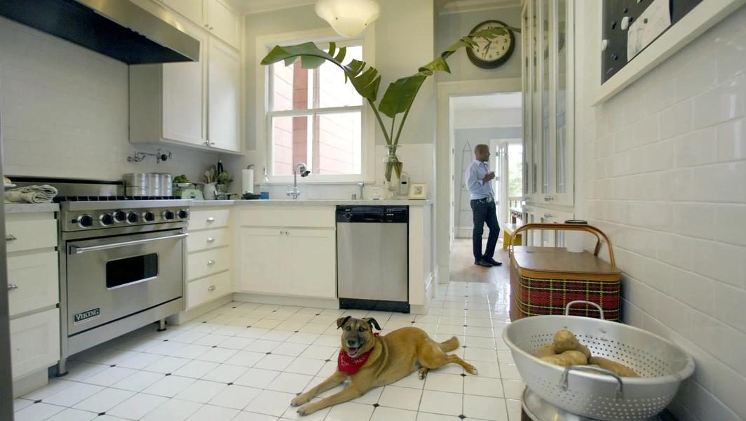 6 creative pet-friendly home design ideas