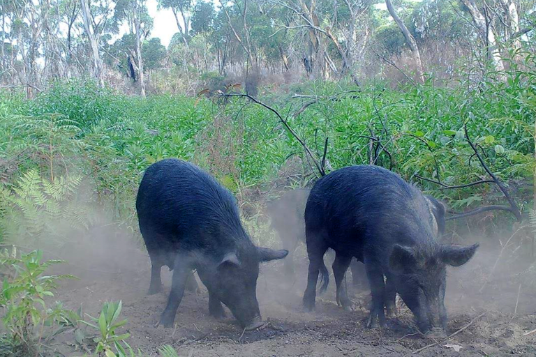 Incredible photo exposes Australia's relentless battle with $100 ...