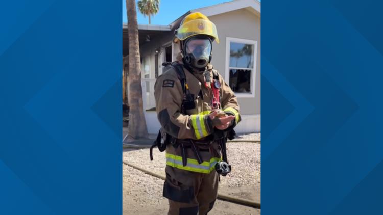 4 dogs, turtle rescued from west Phoenix mobile home