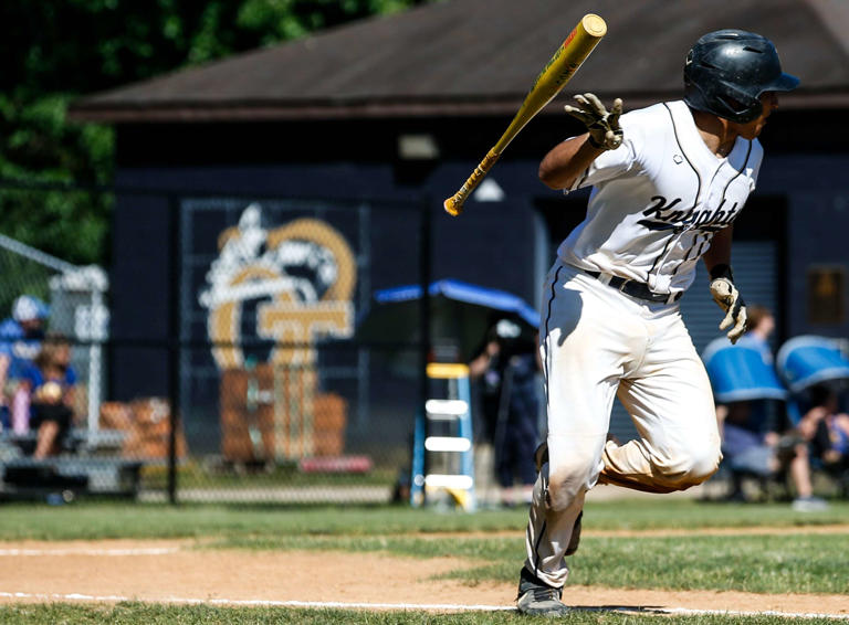 2 seniors, 2-hitter, 2-run homer: Duo lifts top 20 team into NJ ...