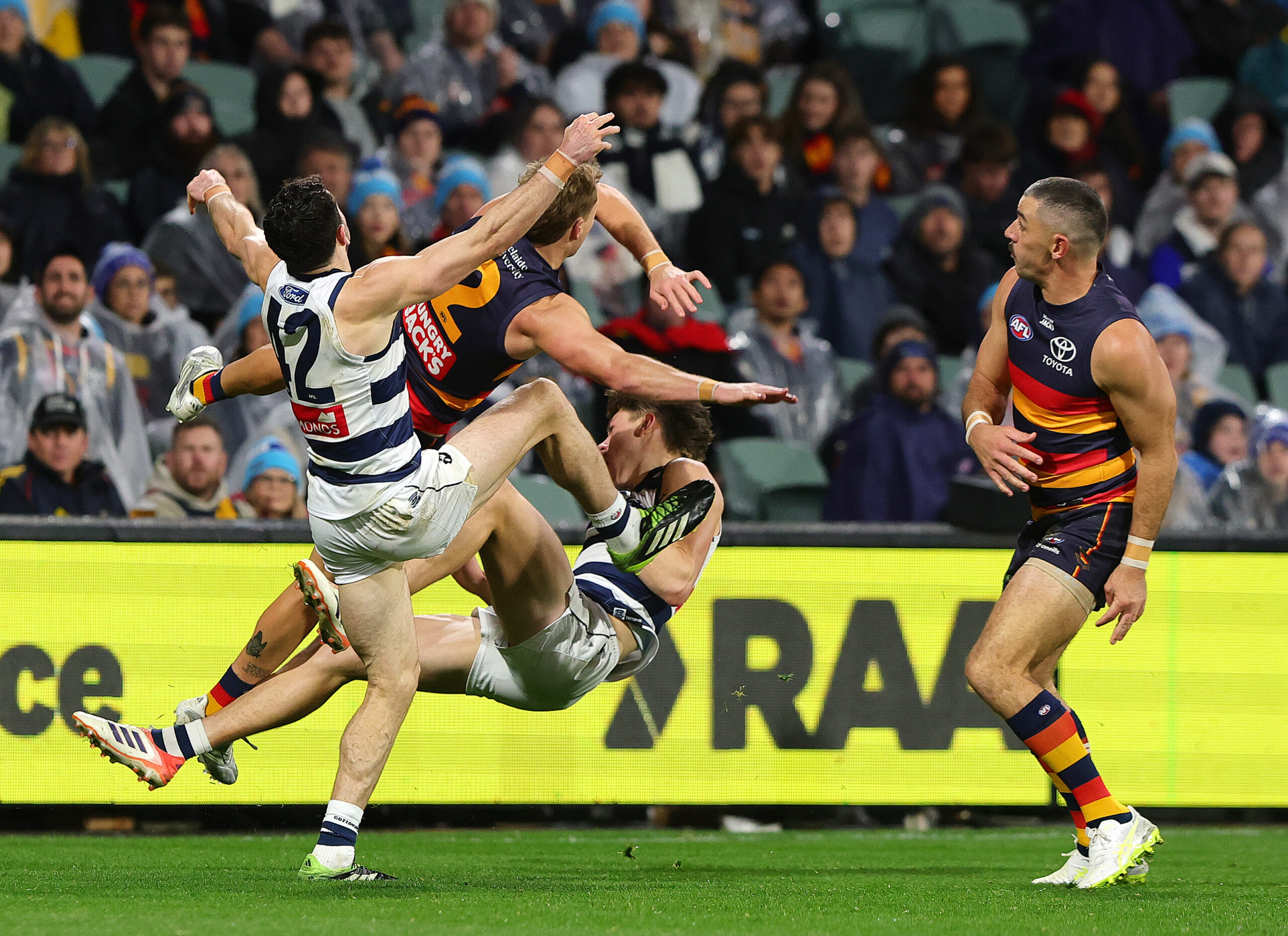 AFL tribunal: Crows veteran learns fate for shove on young Cat