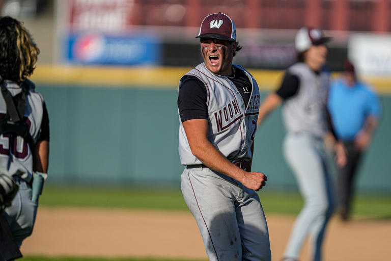 Woonsocket baseball caps perfect season with D-III championship