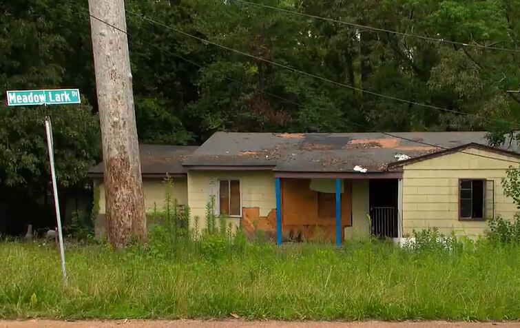 Jackson councilman proposes volunteer program to fight blight
