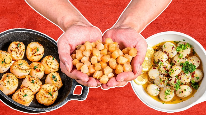10 common mistakes to avoid when cooking scallops