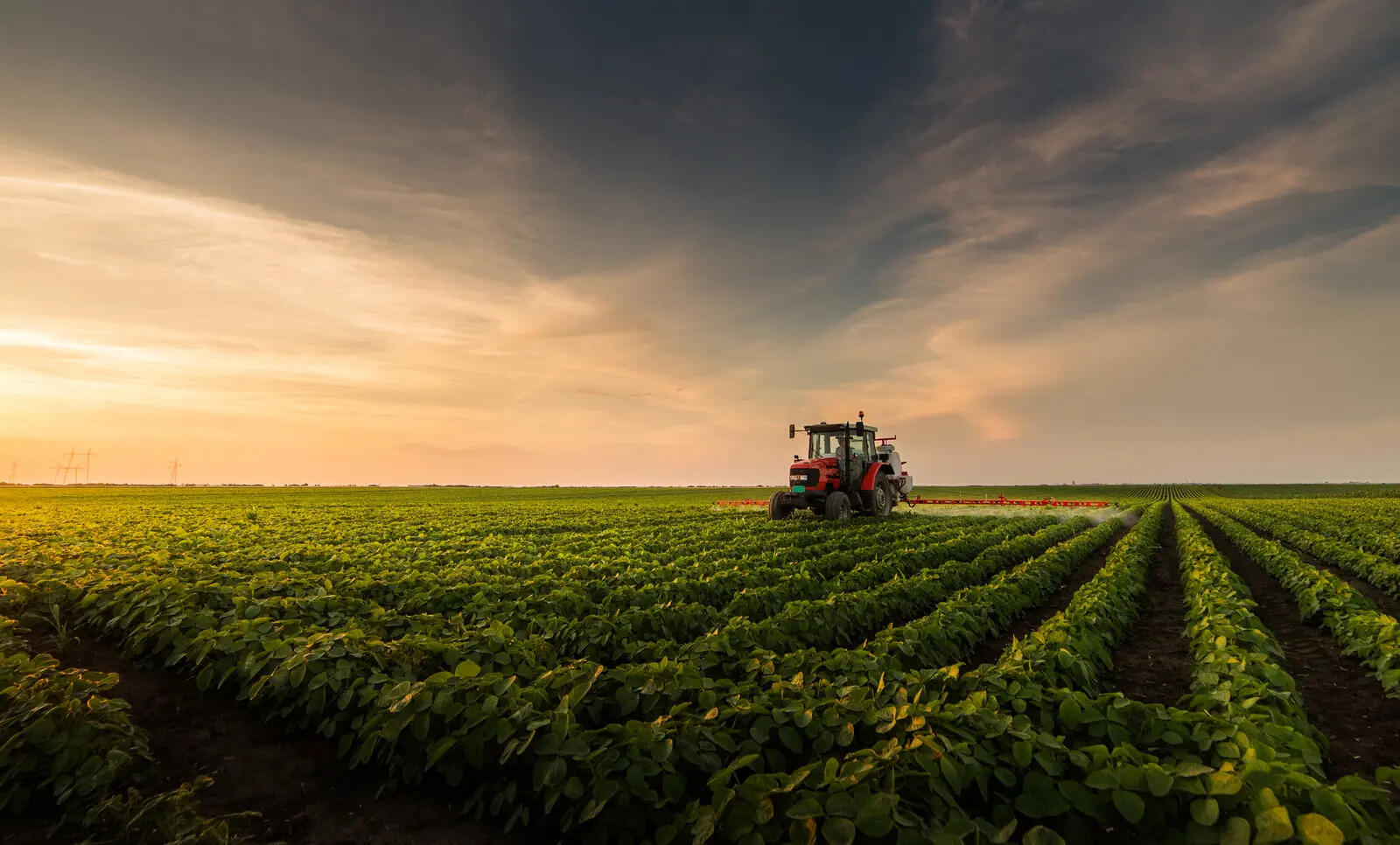 BRICS+ agriculture beyond borders: Trade and resilience for a food ...