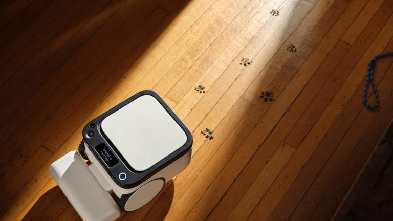 Discover the Matic robot vacuum/mop: A game changer for effortless home ...