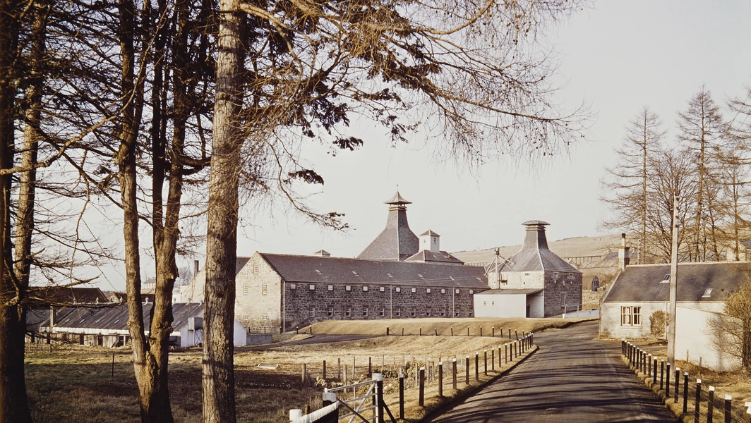 16 single malt scotches priced around $20–$30