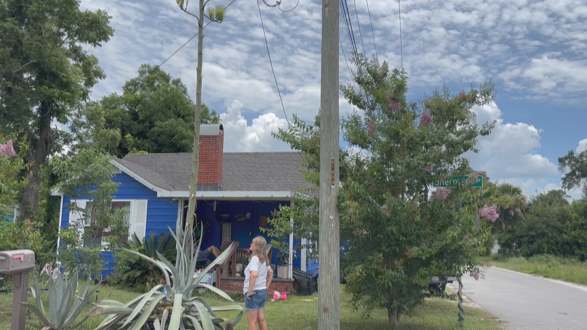 30-foot century plant about to bloom in Panama City woman’s yard