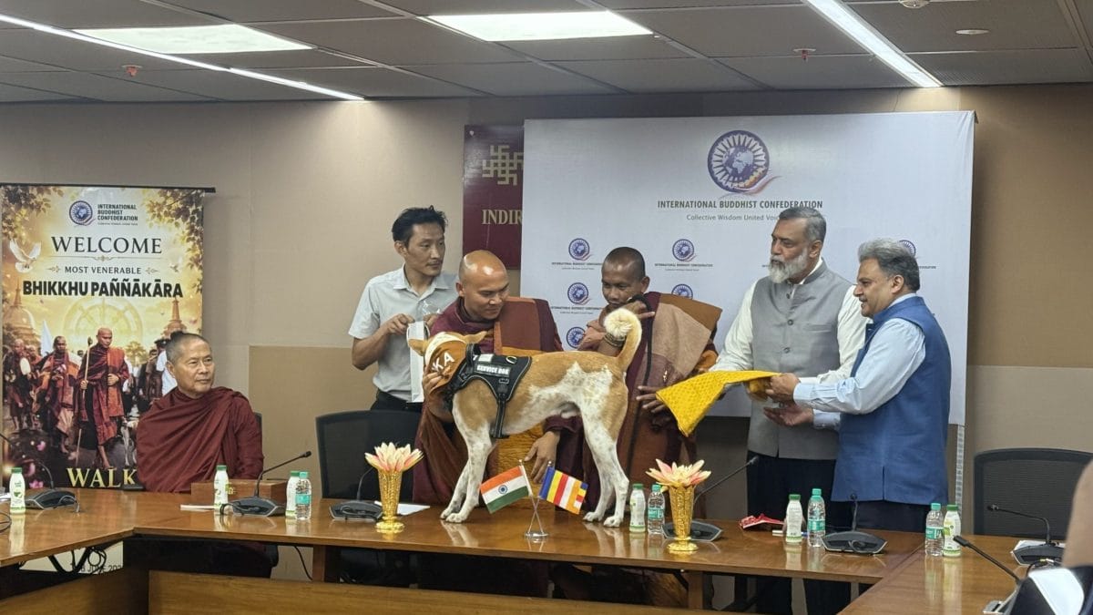 A stray dog followed Buddhist monks in India two years ago. He's now a ...