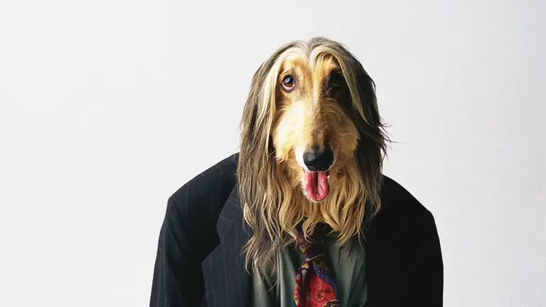 The science behind why your pet is starting to look human