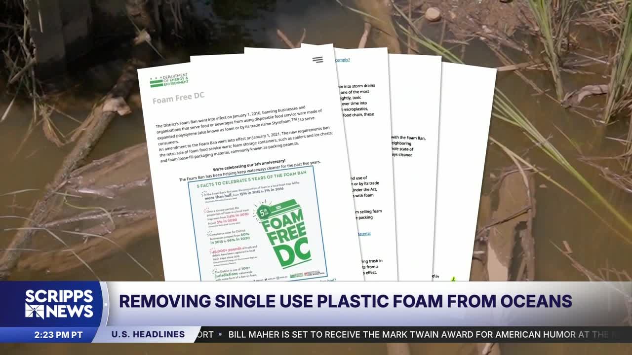 New efforts are pushing to keep more styrofoam out of the world's oceans