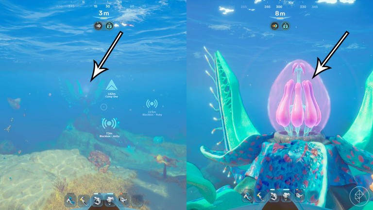 How to get food in Subnautica 2