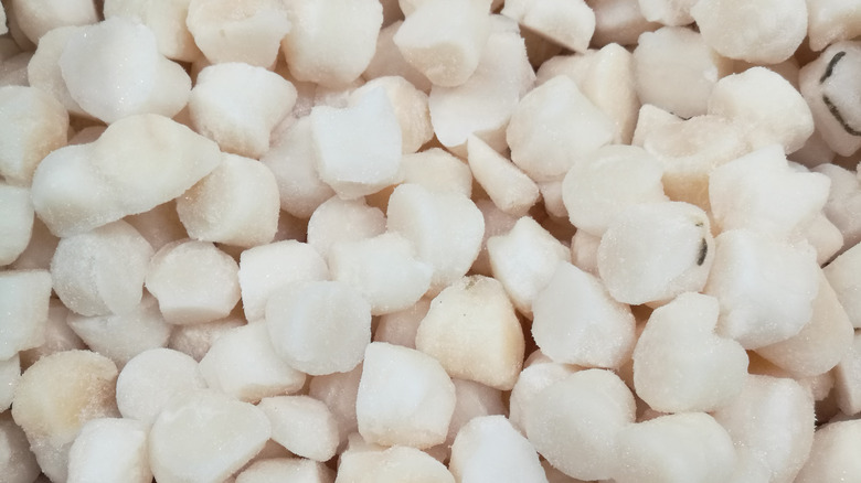 10 common mistakes to avoid when cooking scallops