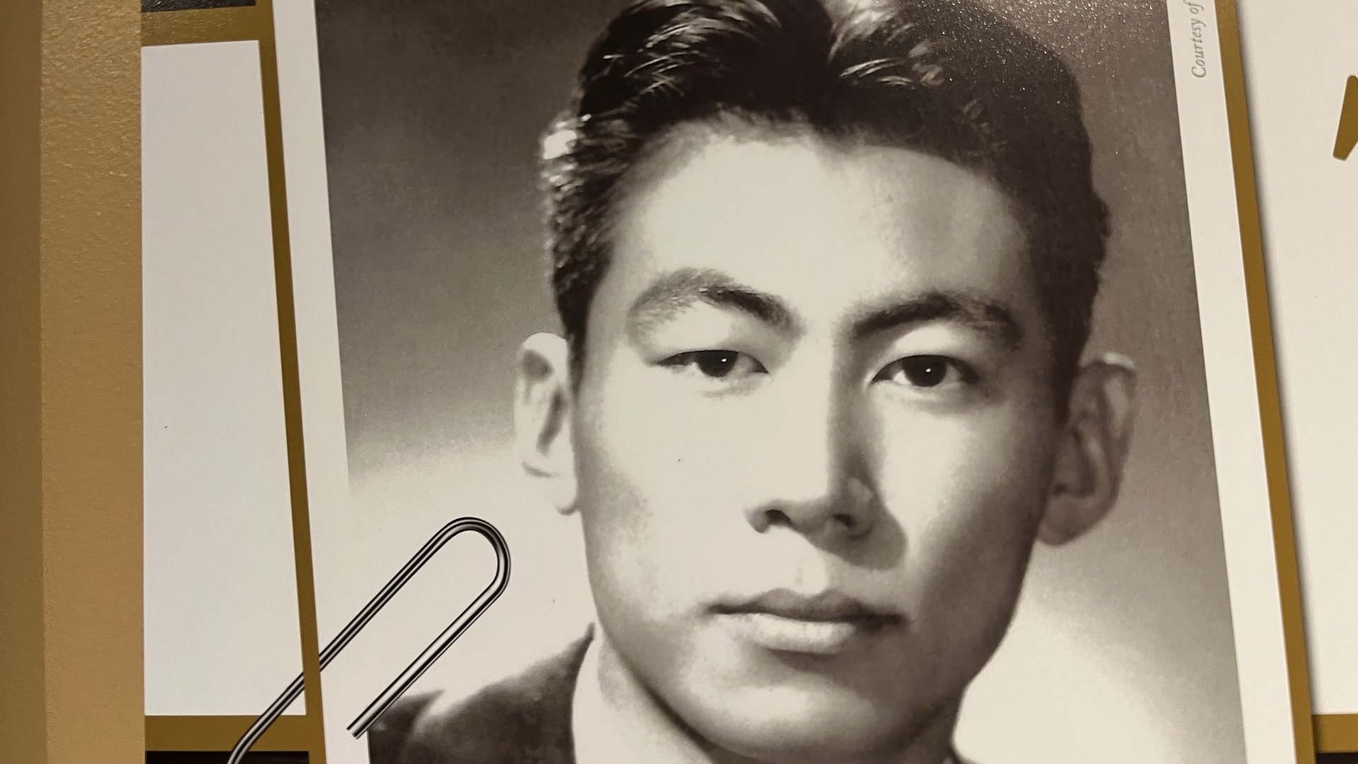 Takashi Hoshizaki interview