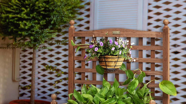Walmart's 'sturdy' $43 wood planter box with a built-in trellis is the ...