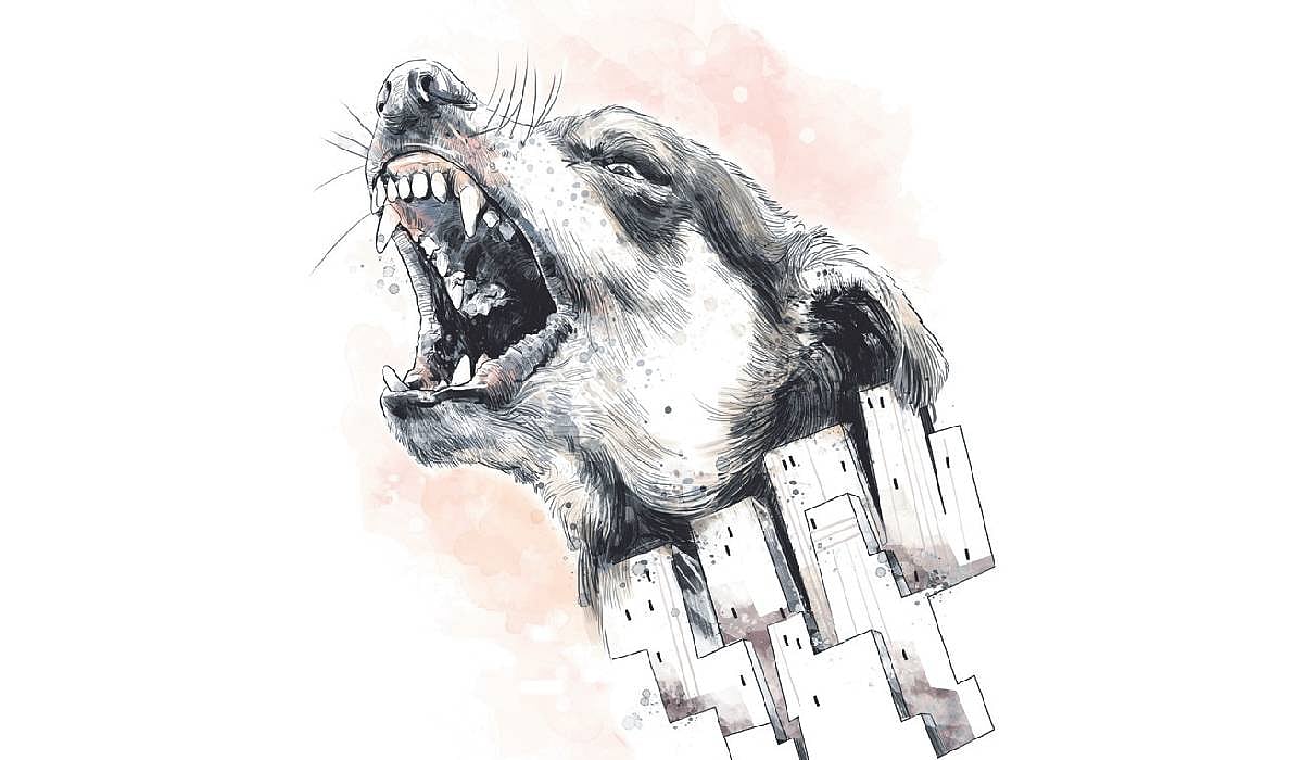 Eroor rabid dog biting spree sparks fresh discussions on strays’ management