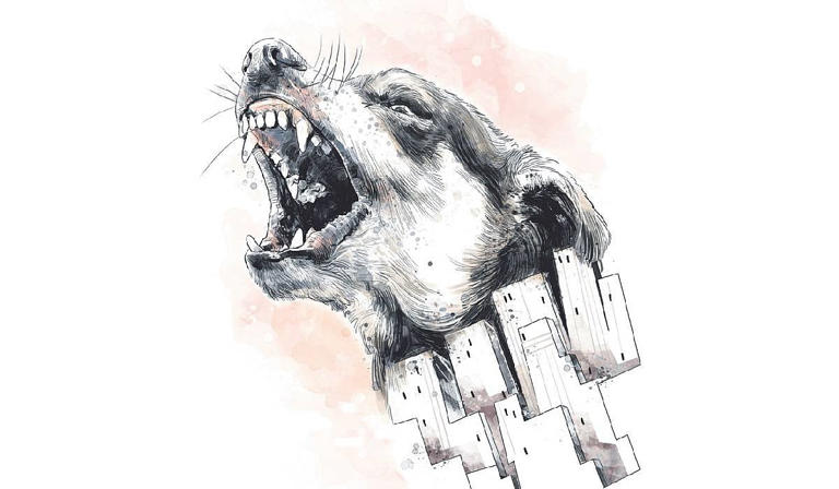 Eroor rabid dog biting spree sparks fresh discussions on strays’ management