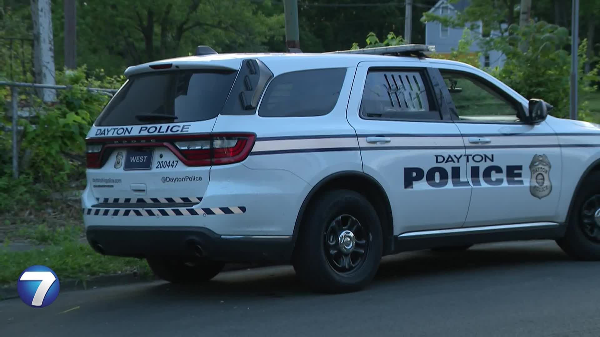 Two dogs abandoned after owner dies; police working to find new home