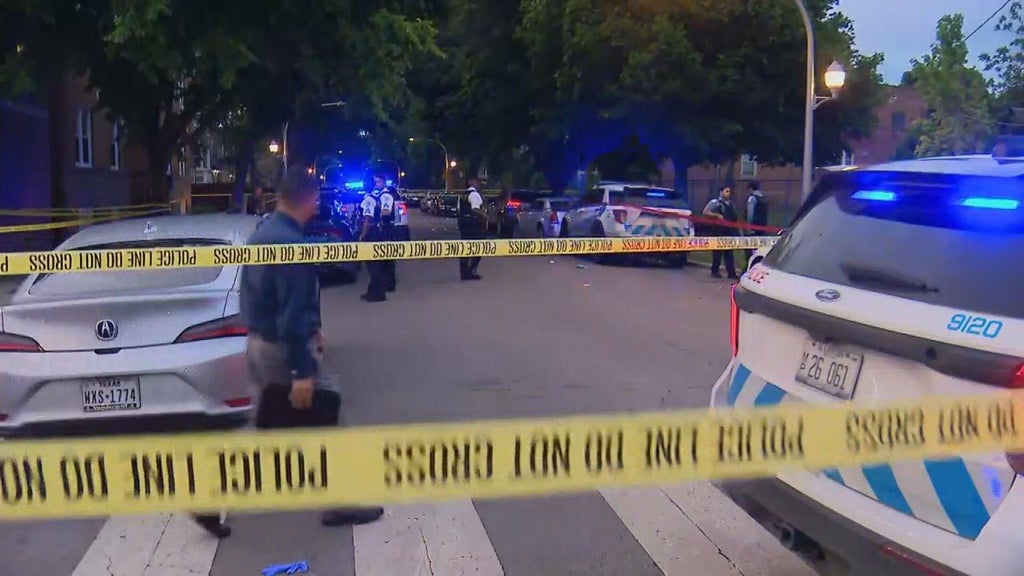 Cook County Crime Stoppers offering $10,000 reward in deadly South ...