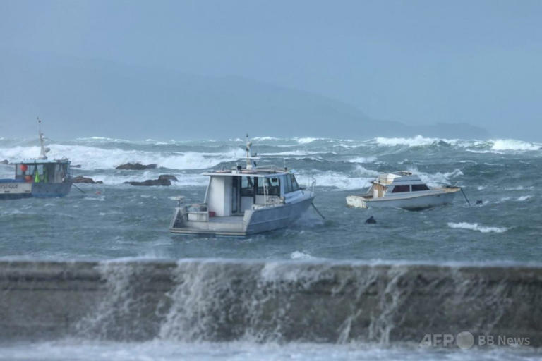 NZ首都に11メートルの高波、住民数百人避難