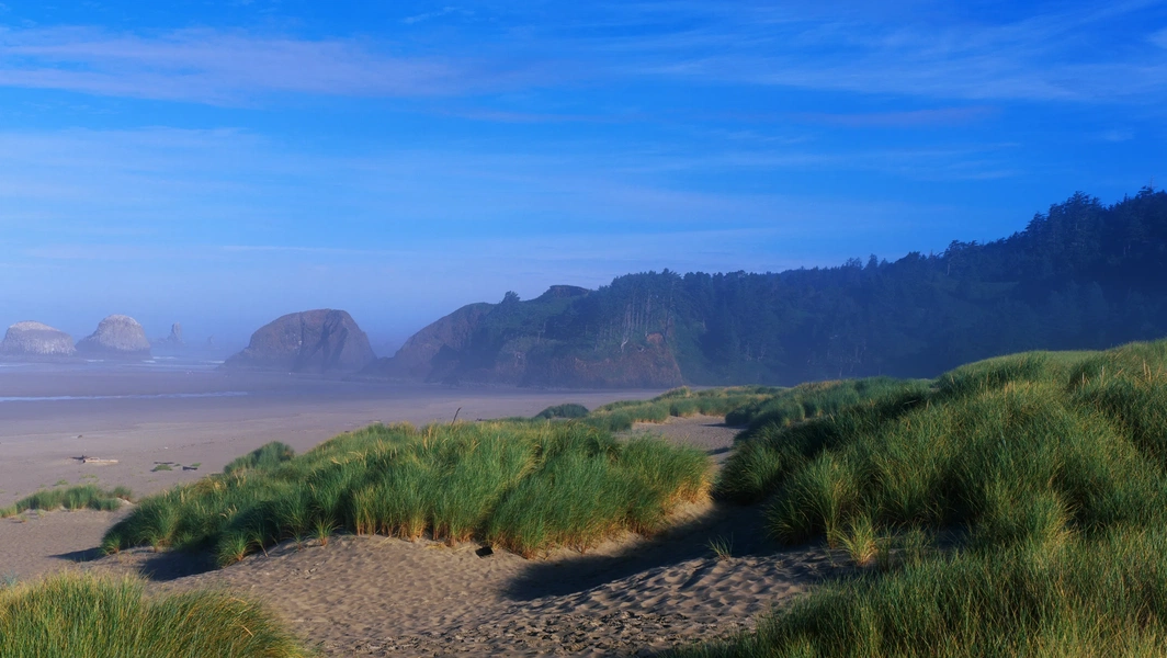 12 family-friendly forest campgrounds in Oregon