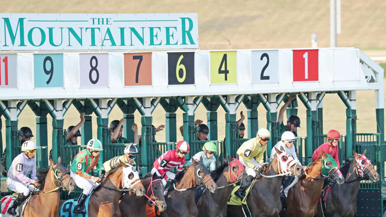 Races canceled at Mountaineer; state vet 'not able to work'
