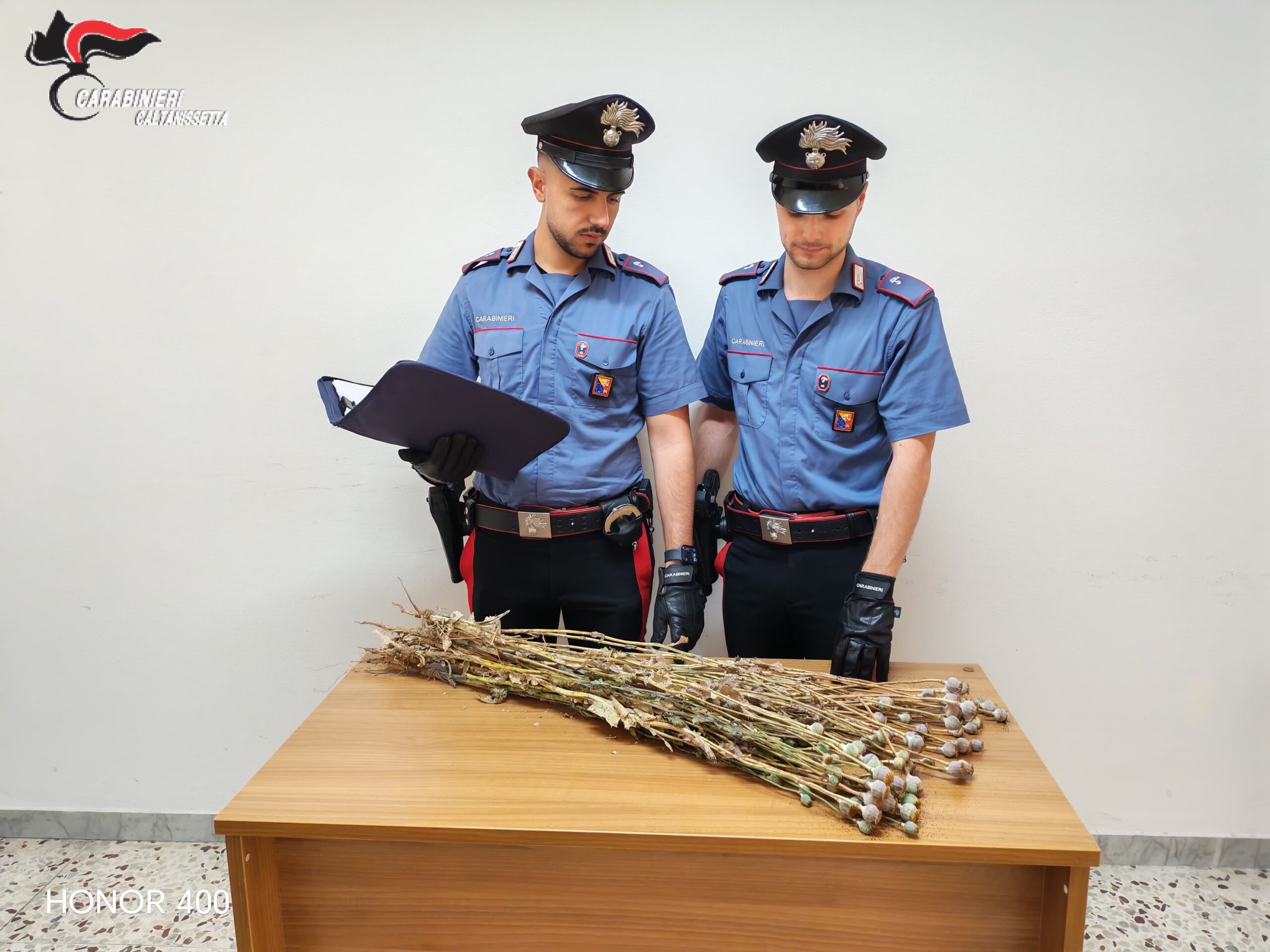 Niscemi, nella zona interdetta scoperta una coltivazione di papavero da ...