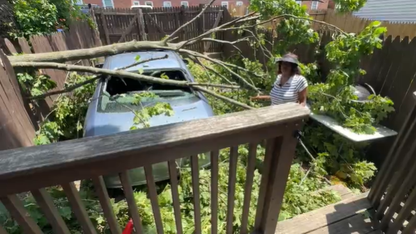 Downed tree upends life of Bridgeport woman whose car was crushed by ...